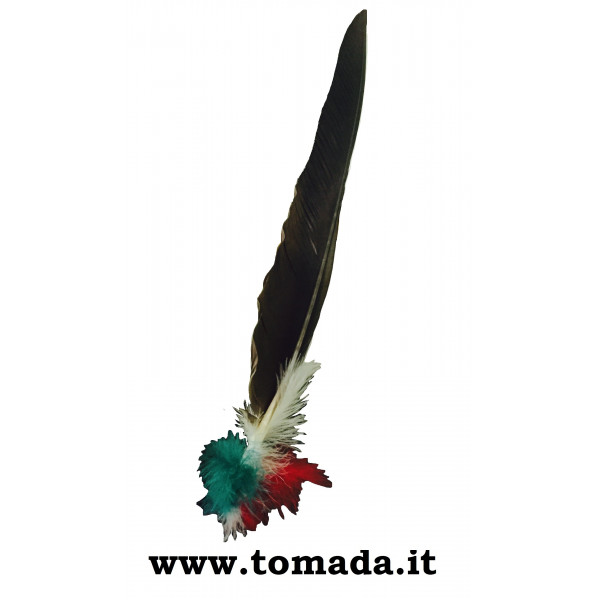 penne alpino (3)